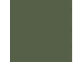 Ripe Olive SW6209 Paint by Sherwin-Williams - modlar.com