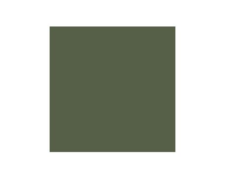 Ripe Olive SW6209 Paint by Sherwin-Williams - modlar.com