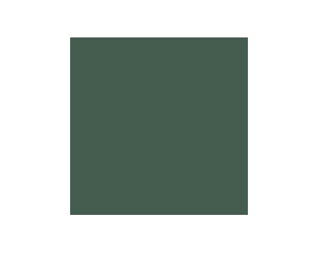 Rock Garden SW6195 Paint by Sherwin-Williams - modlar.com