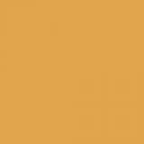 Rookwood Amber SW2817 Paint by Sherwin-Williams - modlar.com