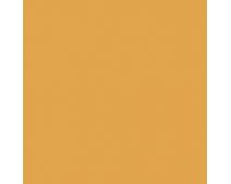 Rookwood Amber SW2817 Paint by Sherwin-Williams - modlar.com