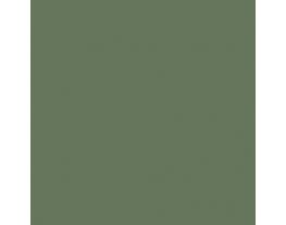 Rookwood Dark Green SW2816 Paint by Sherwin-Williams - modlar.com