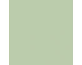 Rookwood Jade SW2812 Paint by Sherwin-Williams - modlar.com