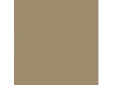 Roycroft Brass SW2843 Paint by Sherwin-Williams - modlar.com