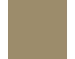 Roycroft Brass SW2843 Paint by Sherwin-Williams - modlar.com