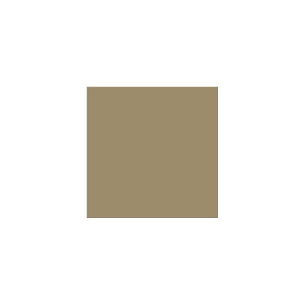 Roycroft Brass SW2843 Paint by Sherwin-Williams - modlar.com