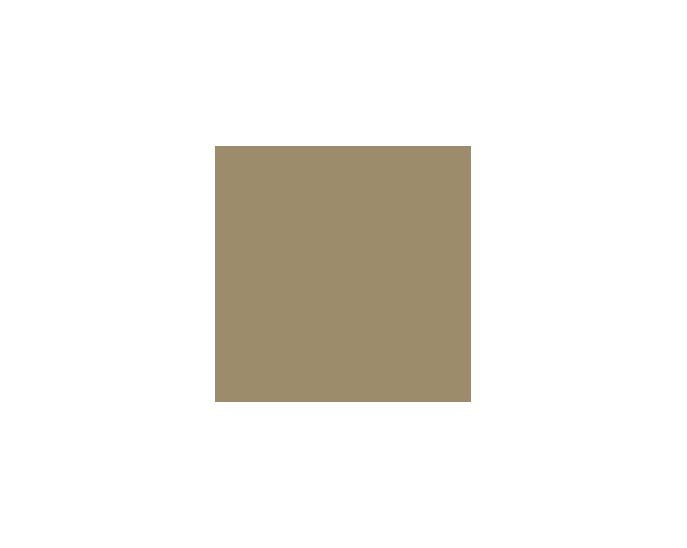 Roycroft Brass SW2843 Paint by Sherwin-Williams - modlar.com
