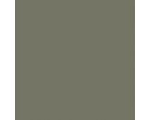 Roycroft Bronze Green SW2846 Paint by Sherwin-Williams - modlar.com