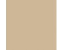Roycroft Suede SW2842 Paint by Sherwin-Williams - modlar.com