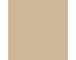 Roycroft Suede SW2842 Paint by Sherwin-Williams - modlar.com