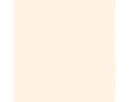 Roycroft Vellum SW2833 Paint by Sherwin-Williams - modlar.com