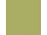 Rural Green SW6418 Paint by Sherwin-Williams - modlar.com