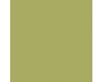 Rural Green SW6418 Paint by Sherwin-Williams - modlar.com