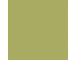Rural Green SW6418 Paint by Sherwin-Williams - modlar.com