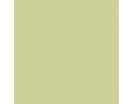 Ryegrass SW6423 Paint by Sherwin-Williams - modlar.com