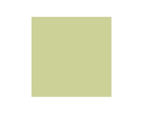 Ryegrass SW6423 Paint by Sherwin-Williams - modlar.com