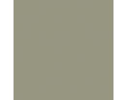 Sage Green Light SW2851 Paint by Sherwin-Williams - modlar.com