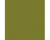 Saguaro SW6419 Paint by Sherwin-Williams - modlar.com