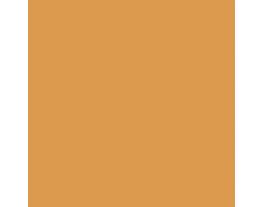 Saucy Gold SW6370 Paint by Sherwin-Williams - modlar.com