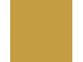 Sconce Gold SW6398 Paint by Sherwin-Williams - modlar.com
