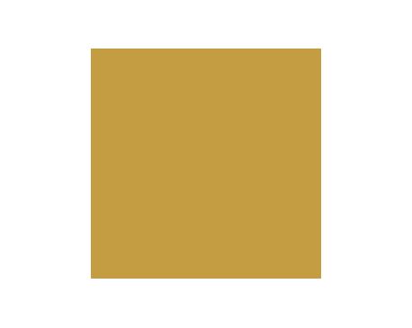 Sconce Gold SW6398 Paint by Sherwin-Williams - modlar.com