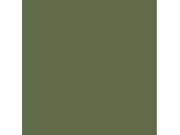 Secret Garden SW6181 Paint by Sherwin-Williams - modlar.com