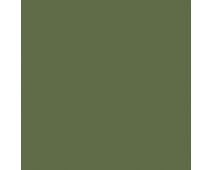 Secret Garden SW6181 Paint by Sherwin-Williams - modlar.com