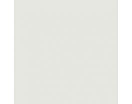 Sensible Hue SW6198 Paint by Sherwin-Williams - modlar.com