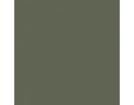 Shade-Grown SW6188 Paint by Sherwin-Williams - modlar.com