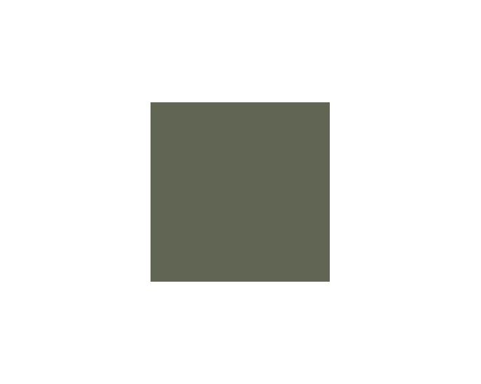 Shade-Grown SW6188 Paint by Sherwin-Williams - modlar.com