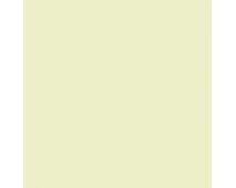 Shagreen SW6422 Paint by Sherwin-Williams - modlar.com