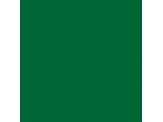 Shamrock SW6454 Paint by Sherwin-Williams - modlar.com