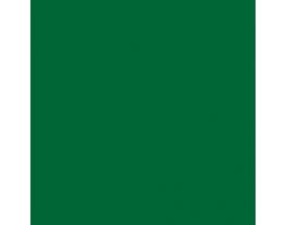 Shamrock SW6454 Paint by Sherwin-Williams - modlar.com