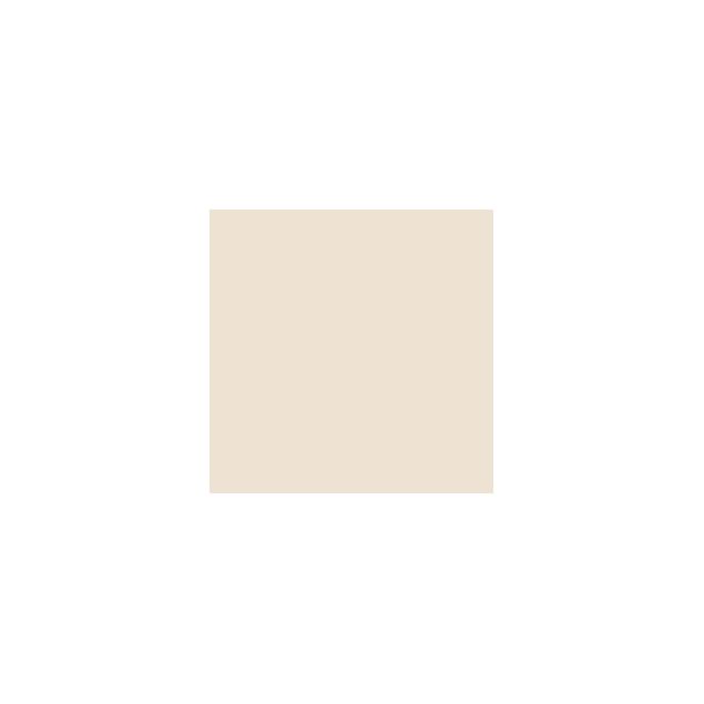 Softer Tan SW6141 Paint by Sherwin-Williams - modlar.com