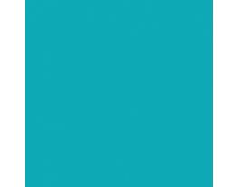 Splashy SW6942 Paint by Sherwin-Williams - modlar.com