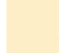 Sunbeam Yellow SW0078 Paint by Sherwin-Williams - modlar.com