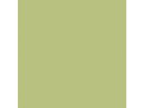Tansy Green SW6424 Paint by Sherwin-Williams - modlar.com