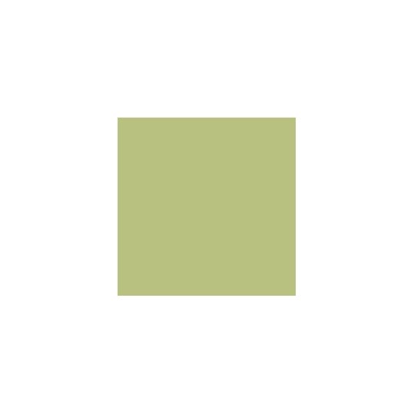 Tansy Green SW6424 Paint by Sherwin-Williams - modlar.com