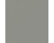 Thunderous SW6201 Paint by Sherwin-Williams - modlar.com