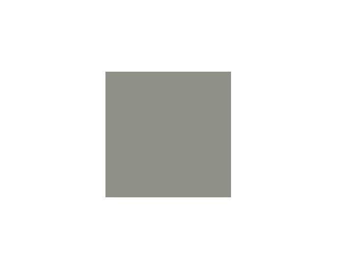 Thunderous SW6201 Paint by Sherwin-Williams - modlar.com