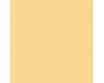 Torchlight SW6374 Paint by Sherwin-Williams - modlar.com