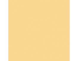 Torchlight SW6374 Paint by Sherwin-Williams - modlar.com