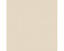 Universal Khaki SW6150 Paint by Sherwin-Williams - modlar.com
