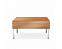 Ditto Square End Table - modlar.com