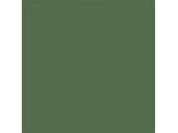 Vogue Green SW0065 Paint by Sherwin-Williams - modlar.com