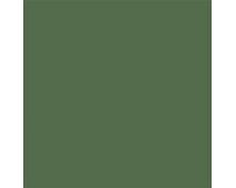 Vogue Green SW0065 Paint by Sherwin-Williams - modlar.com