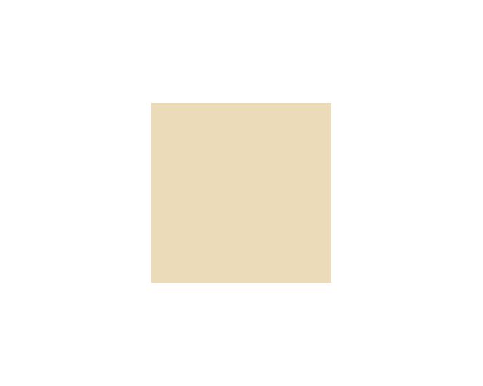 Whole Wheat SW6121 Paint by Sherwin-Williams - modlar.com