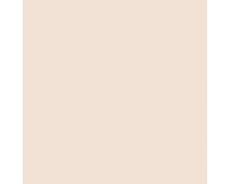 Beige SW2859 Paint by Sherwin-Williams - modlar.com