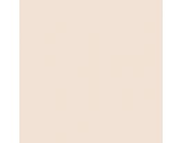 Beige SW2859 Paint by Sherwin-Williams - modlar.com