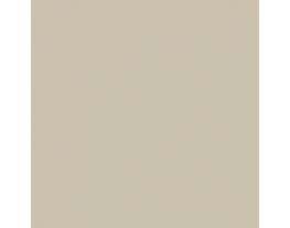 Bunglehouse Gray SW2845 Paint by Sherwin-Williams - modlar.com